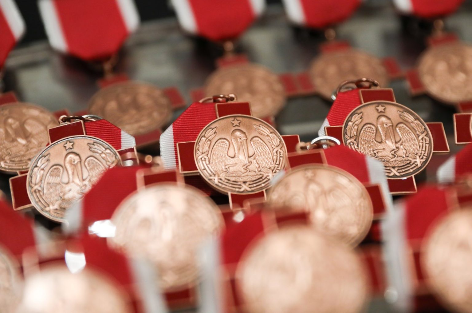 La. Guard aviation unit honored at post-deployment ceremony – Louisiana ...